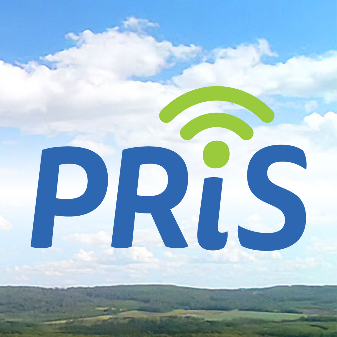 Application Form – PRiS – Peace Region Internet Society